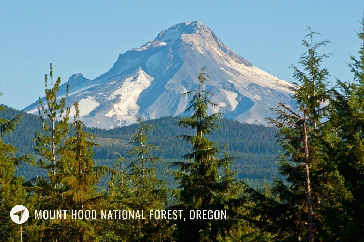 12 Utterly Unmissable Scenic Drives in Oregon