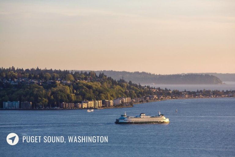 Road Trip From San Francisco To Seattle - Most Scenic PNW Stopping Points