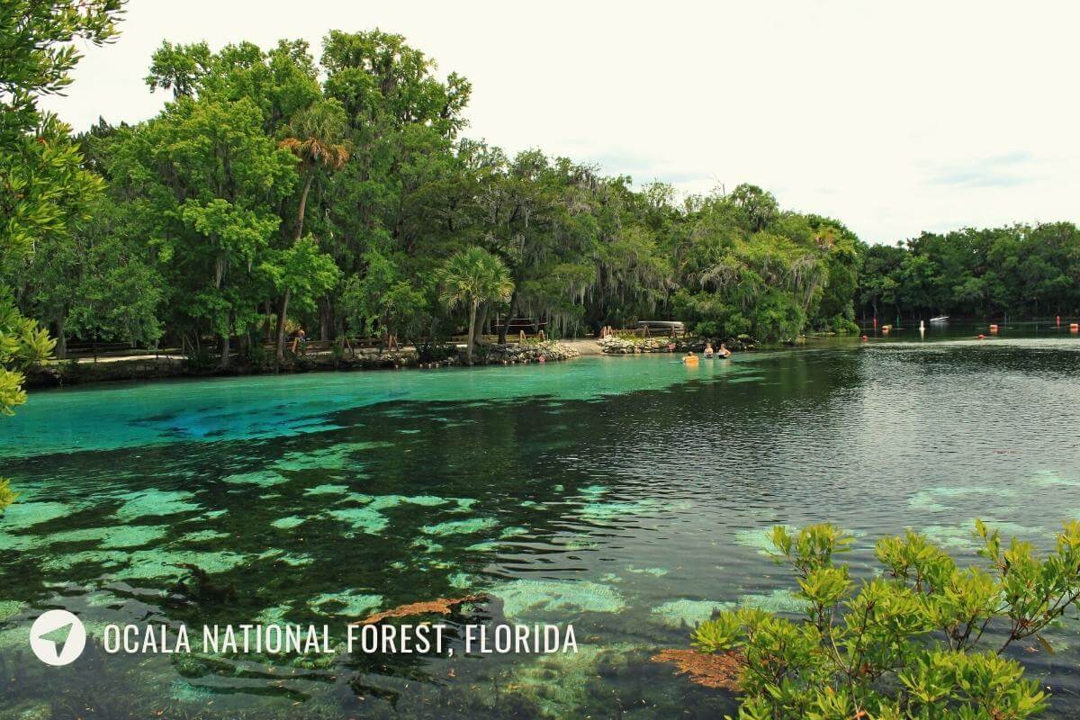 8 Sensational Scenic Drives in Florida For A Family Road Trip