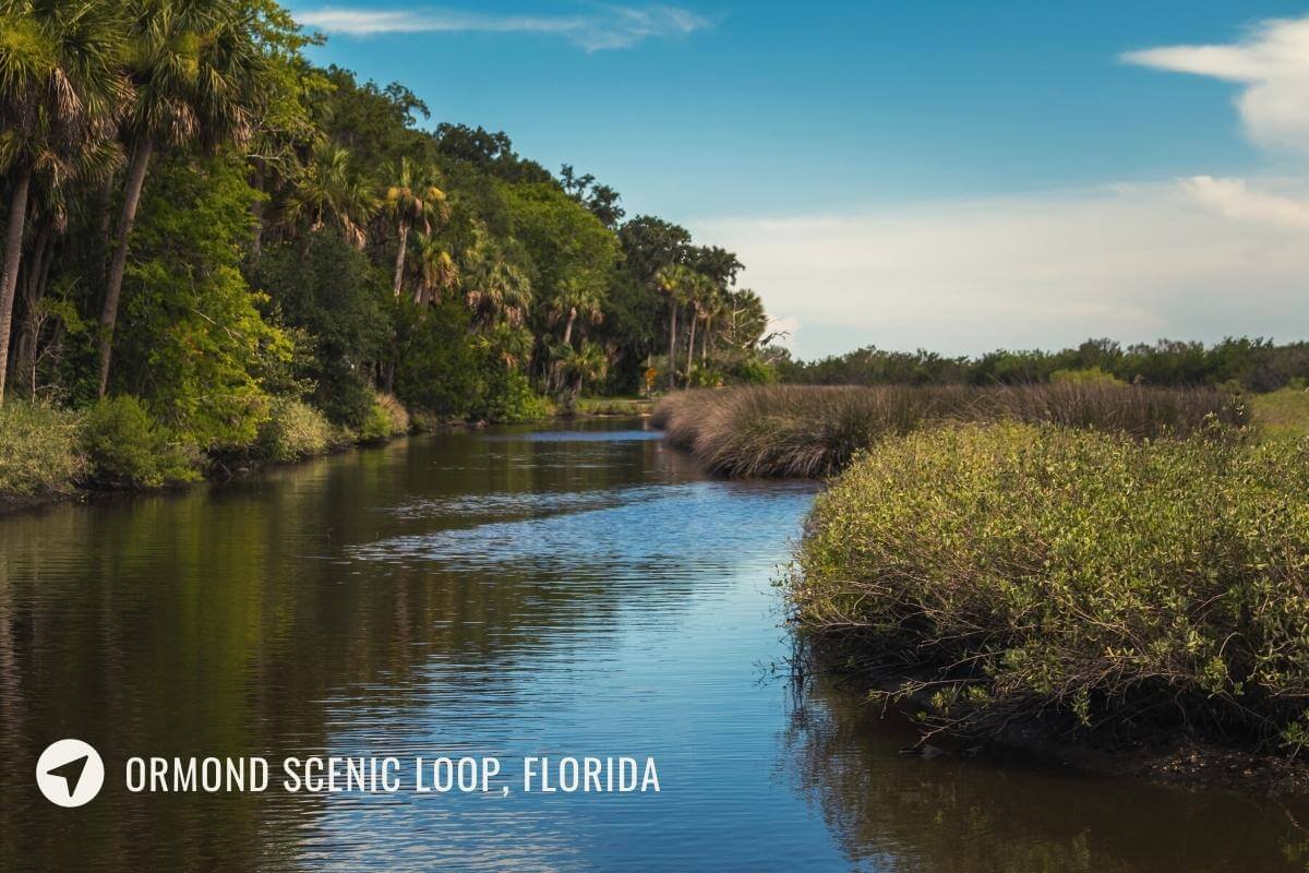 8 Sensational Scenic Drives in Florida For A Family Road Trip