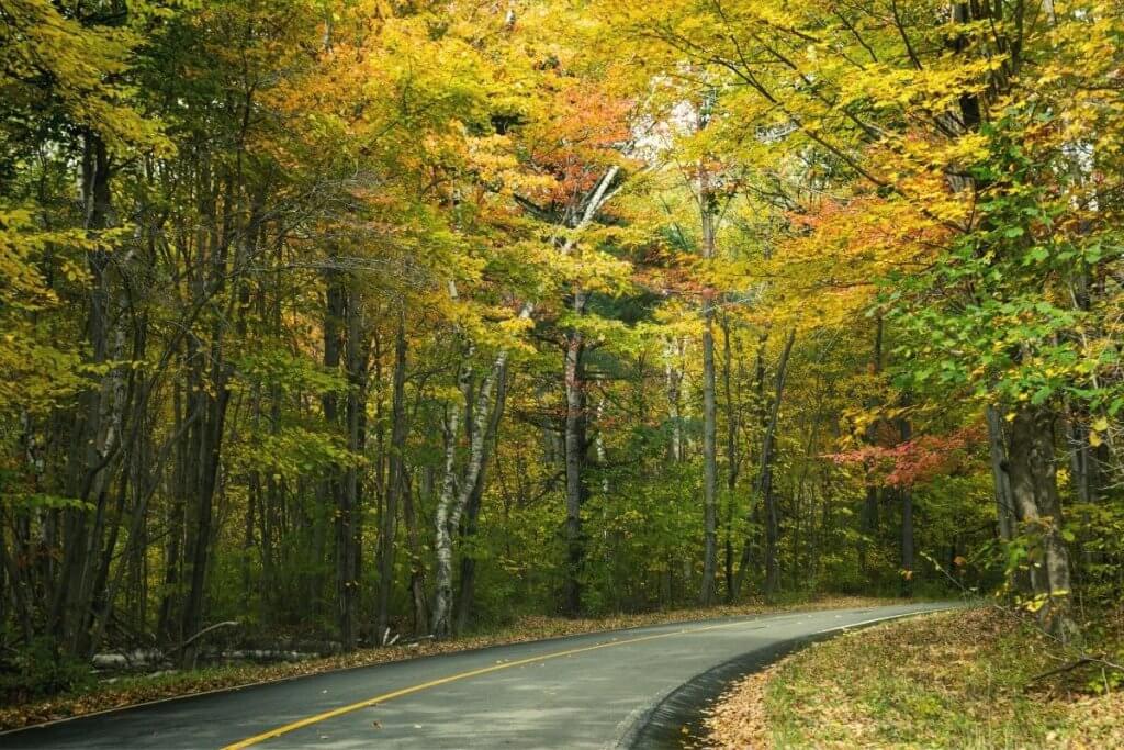 6 Incredible Scenic Drives in Delaware
