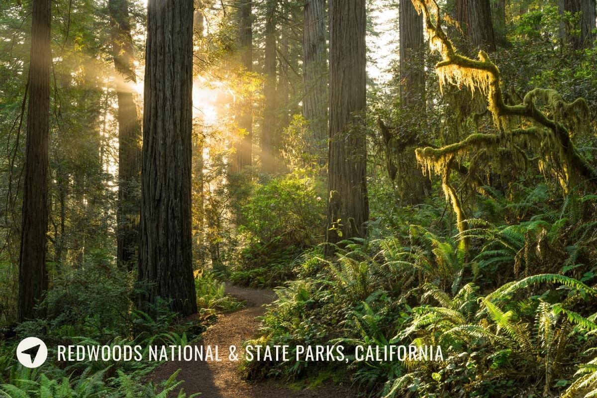 Best Places To Connect With Nature in California