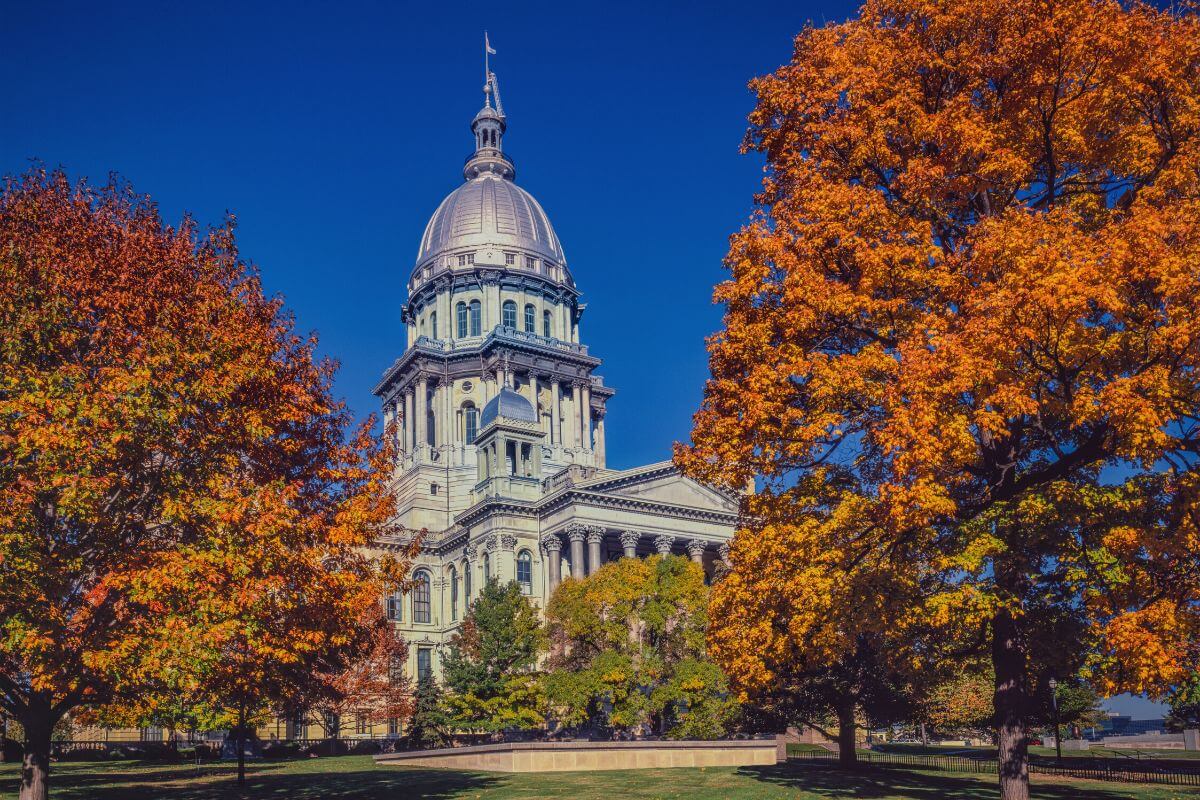 9 Fun Interesting Day Trips From Chicago Family Road Trip