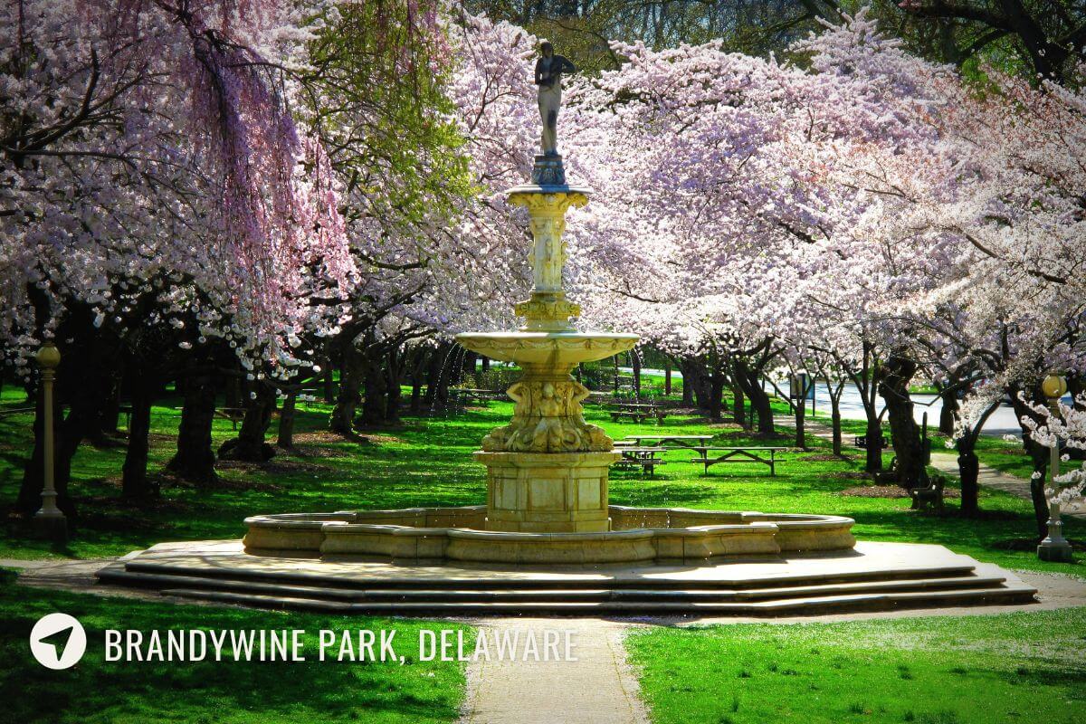6 Incredible Scenic Drives in Delaware