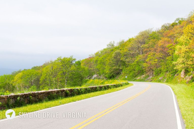 12 Sensational Southern USA Road Trip Ideas