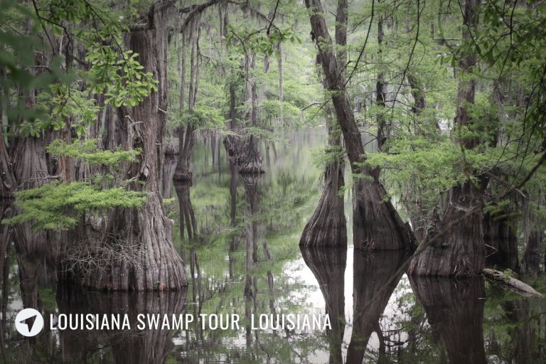 Things To Do With Kids In Louisiana | Family Road Trip