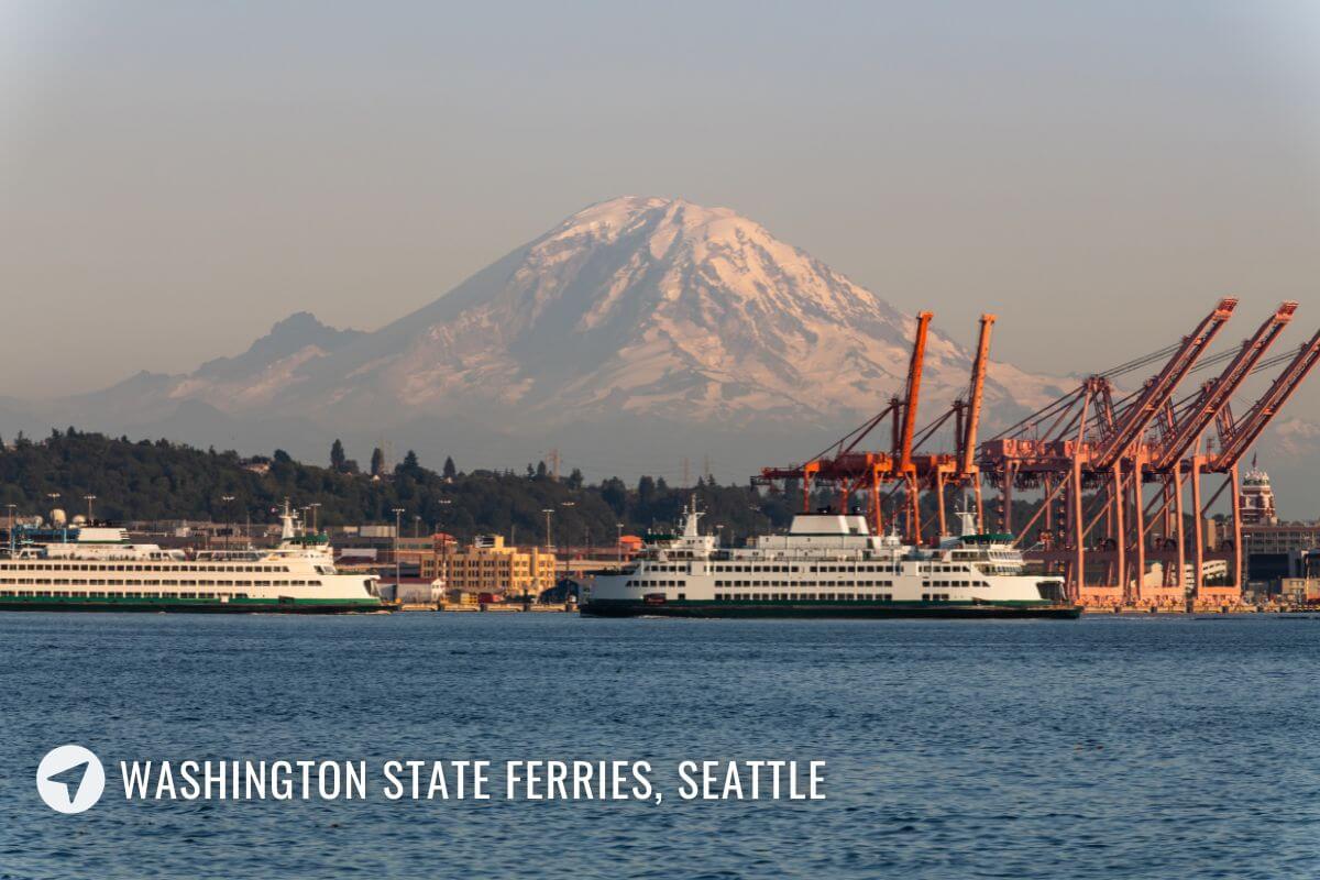 20+ Fun Activities in Seattle For Kids