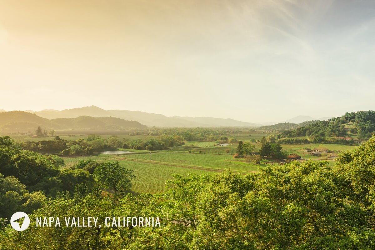 Is It Worth Visiting Napa Valley With Kids?