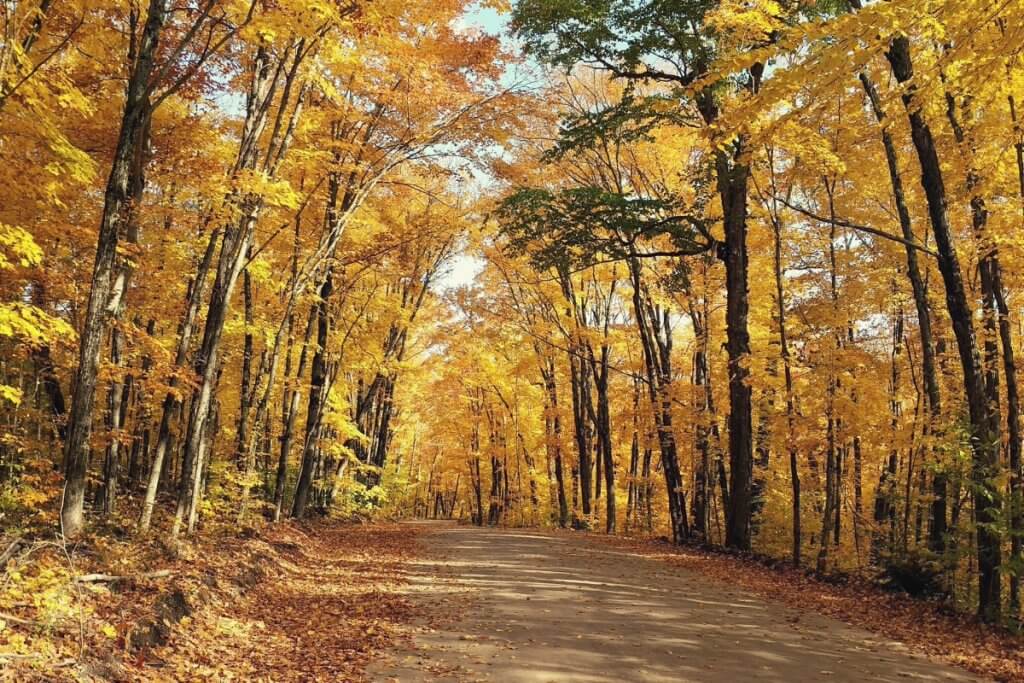 5 Spectacular Scenic Drives in Pennsylvania