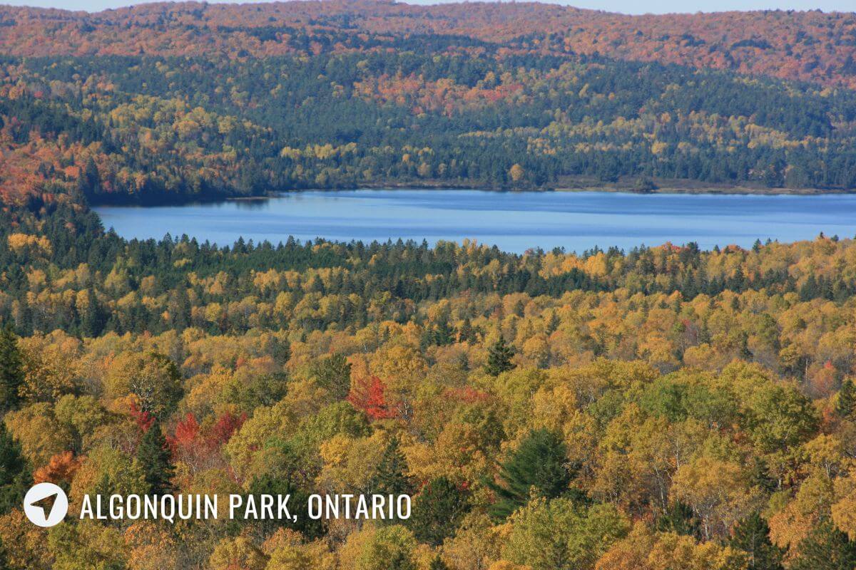 5 Awesome Ontario Scenic Drives Not To Miss