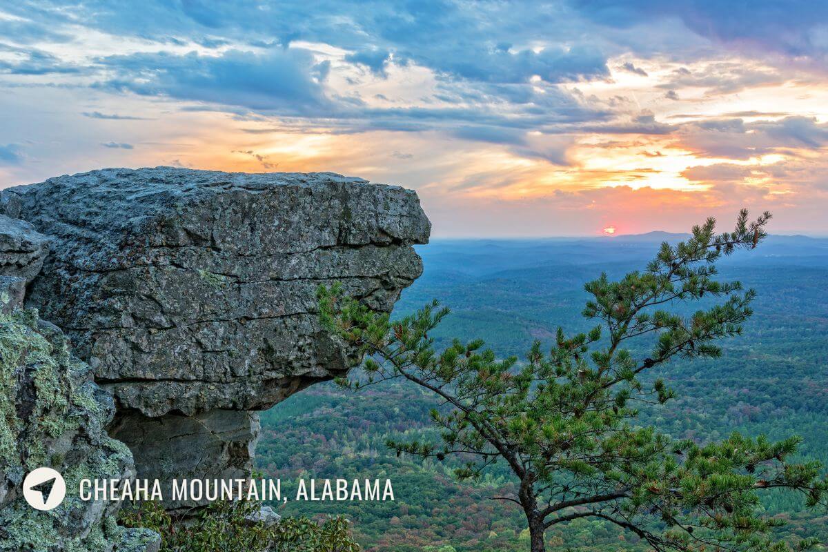 5 Incredible Scenic Drives in Alabama