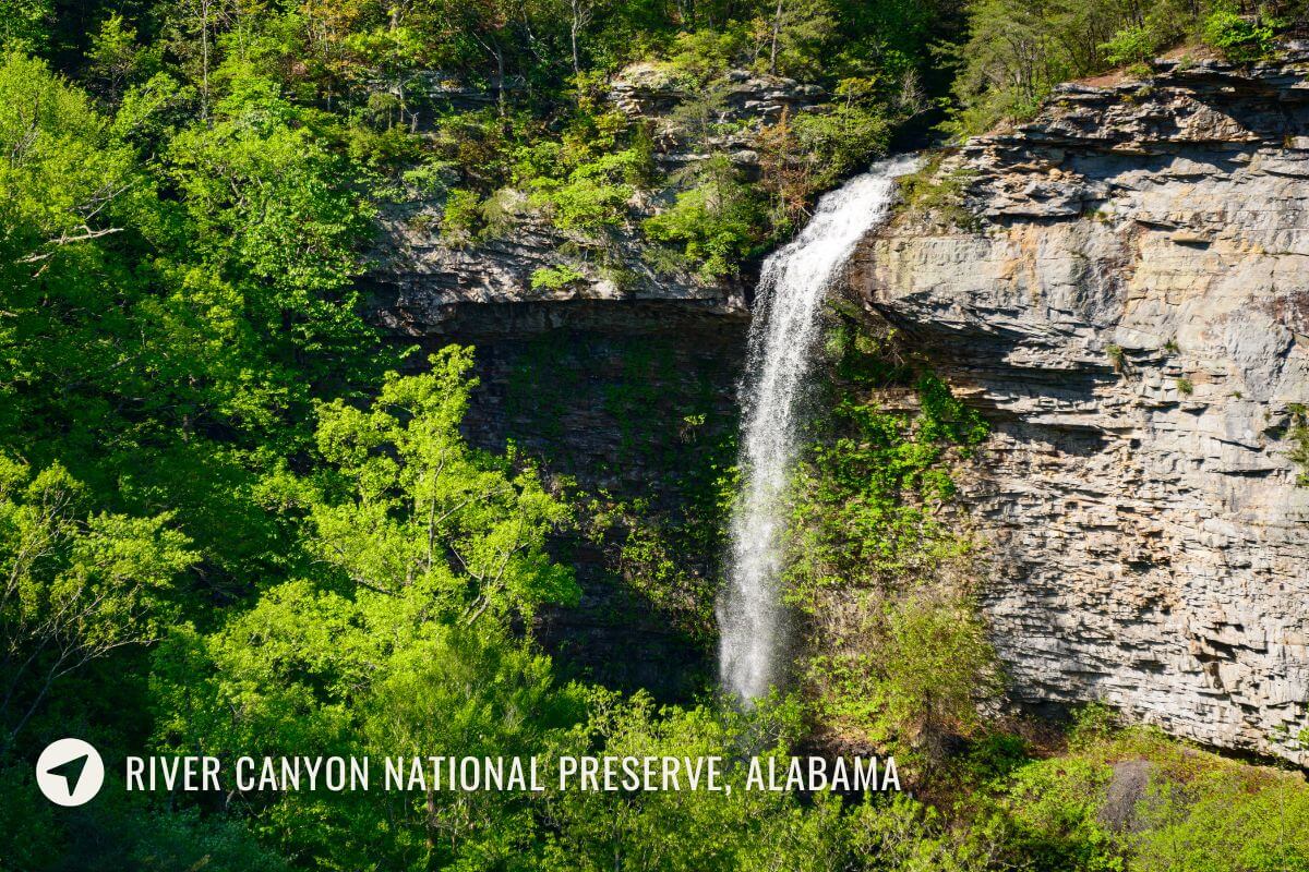 5 Incredible Scenic Drives in Alabama