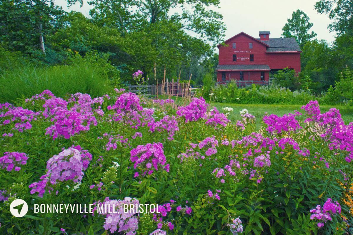 6 Idyllic and Incredible Scenic Drives in Indiana