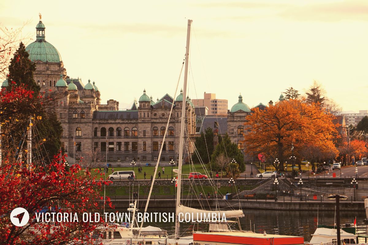 An Unforgettable Vancouver Island Road Trip Adventure