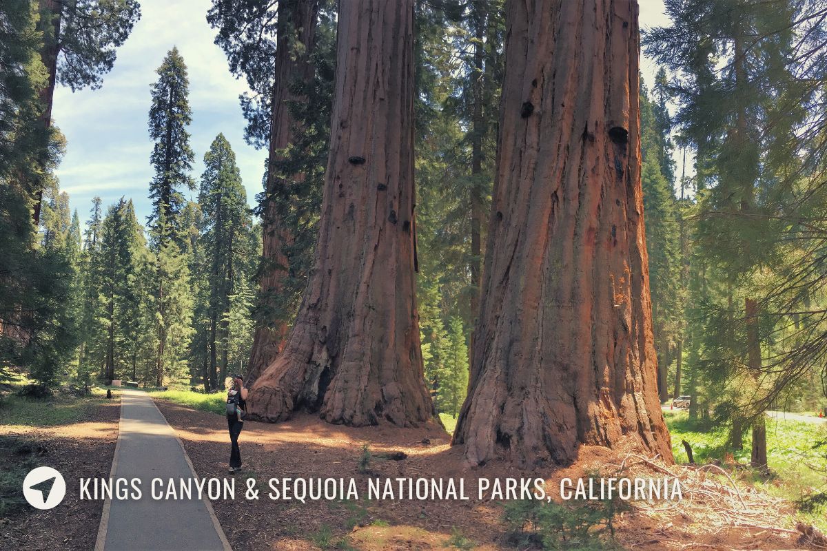 Los Angeles to Yosemite National Park Road Trip