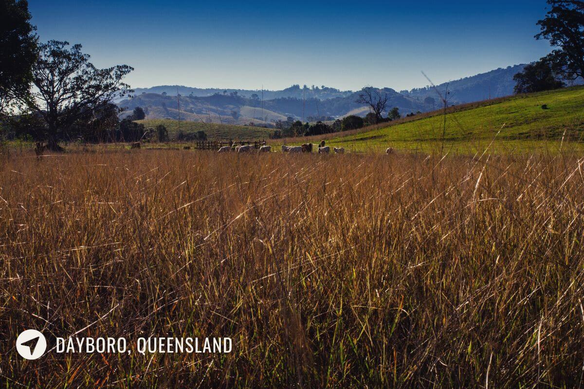 Brilliant Brisbane Scenic Drives And Day Trips