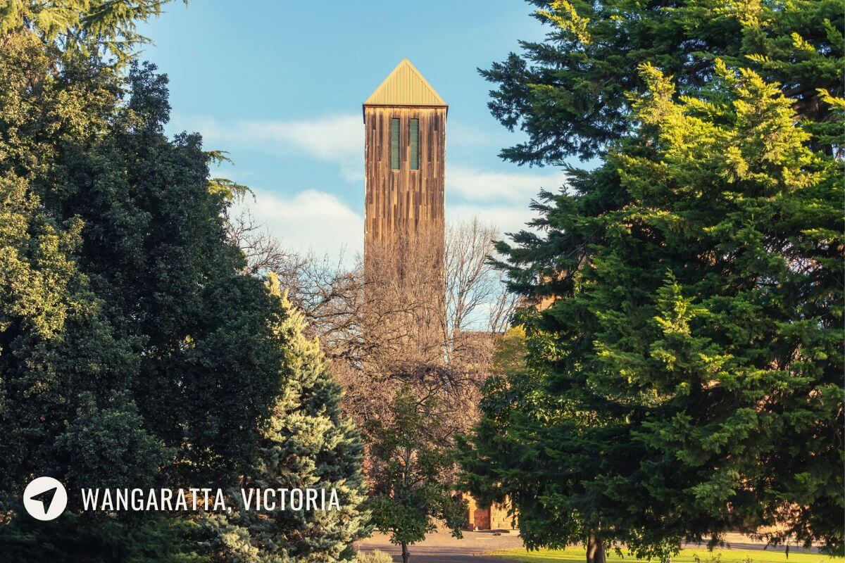Melbourne to Canberra Drive - The Scenic Route