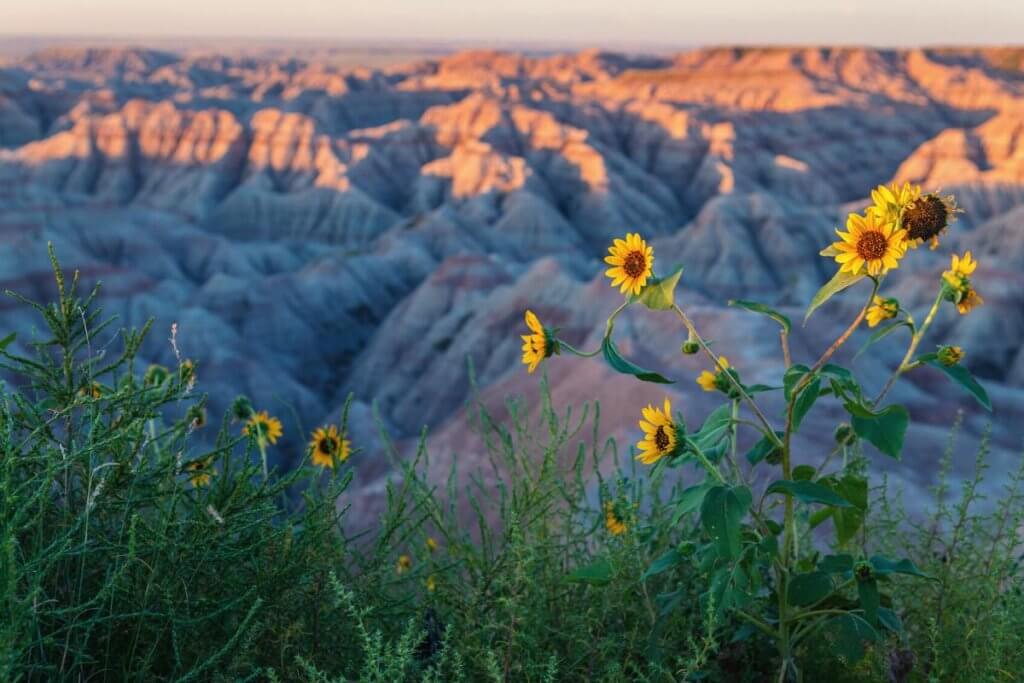 7 Surprising & Beautiful Scenic Drives in Kansas