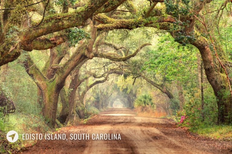 7 Sensational Scenic Drives in South Carolina