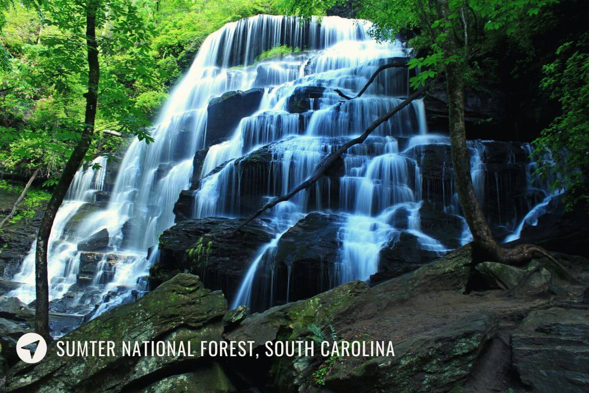 7 Sensational Scenic Drives in South Carolina