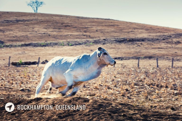 Ultimate Brisbane to Cairns Family Road Trip Itinerary