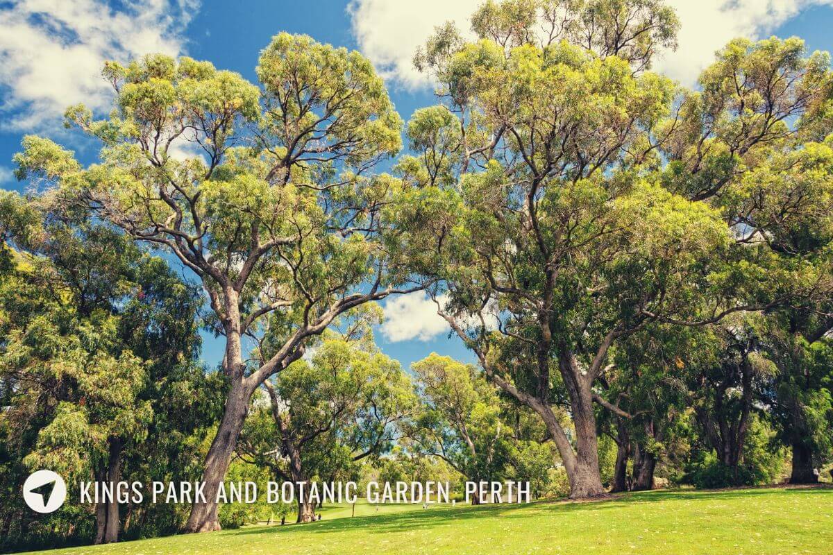 15 Perfect Things To Do With Kids On A Perth Family Holiday