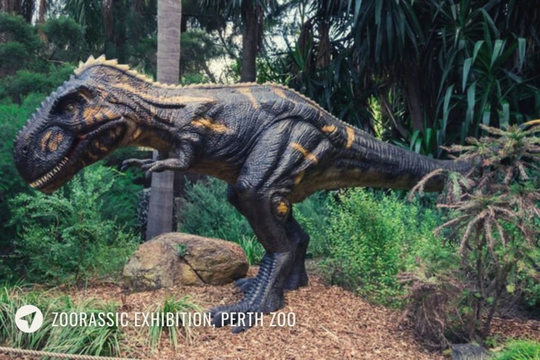 15 Perfect Things To Do With Kids On A Perth Family Holiday