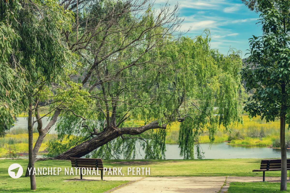 15 Perfect Things To Do With Kids On A Perth Family Holiday
