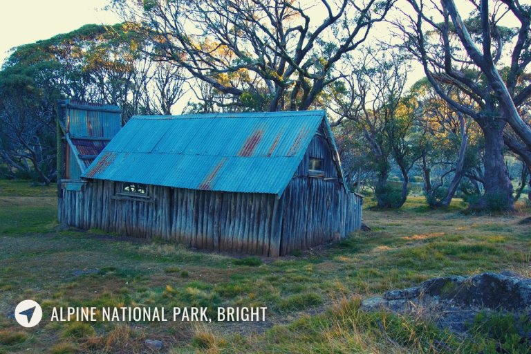 Driving the Great Alpine Road Victoria