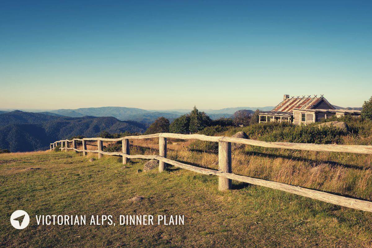 Driving the Great Alpine Road Victoria