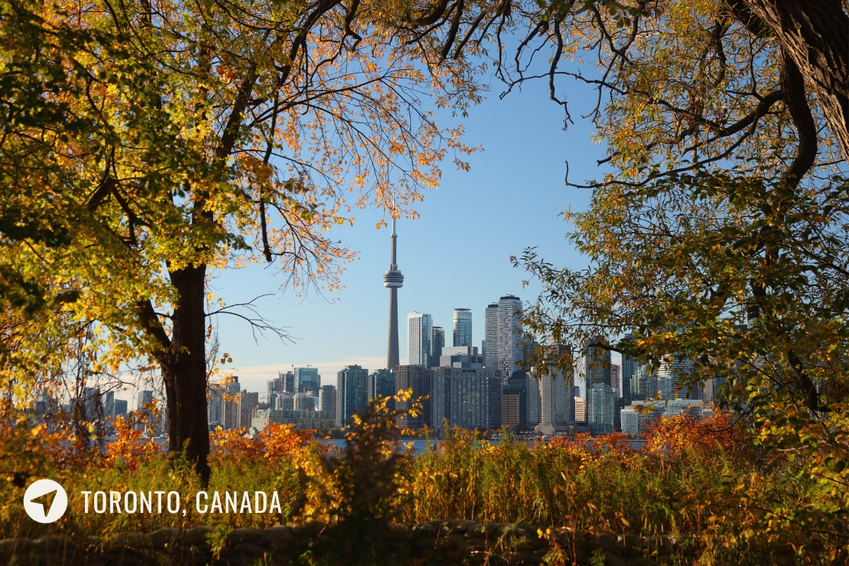 How To Spend A Terrific Day In Toronto With Kids
