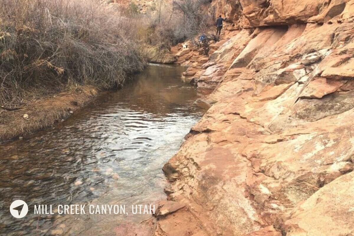 Top 10 Things To Do In Moab With Kids