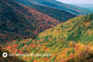 12 Breathtaking Fall Foliage Road Trip Destinations in Canada