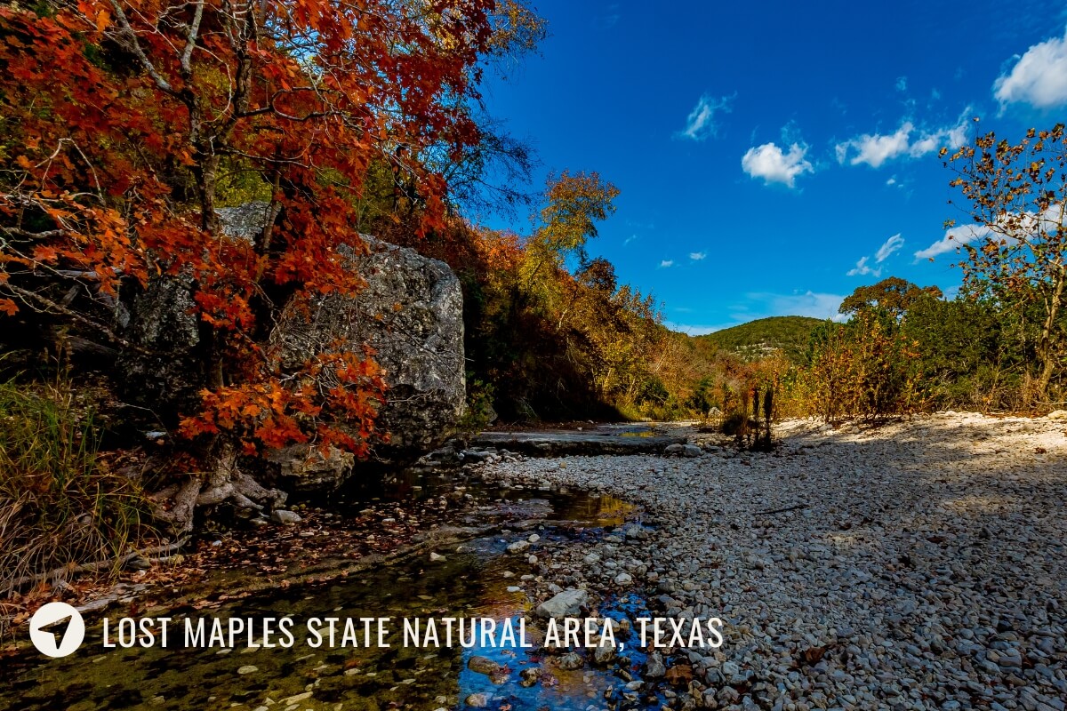Late Fall Road Trips: Grand Finale of Foliage in the USA