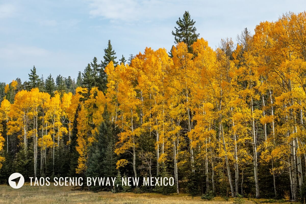 Late Fall Road Trips: Grand Finale of Foliage in the USA