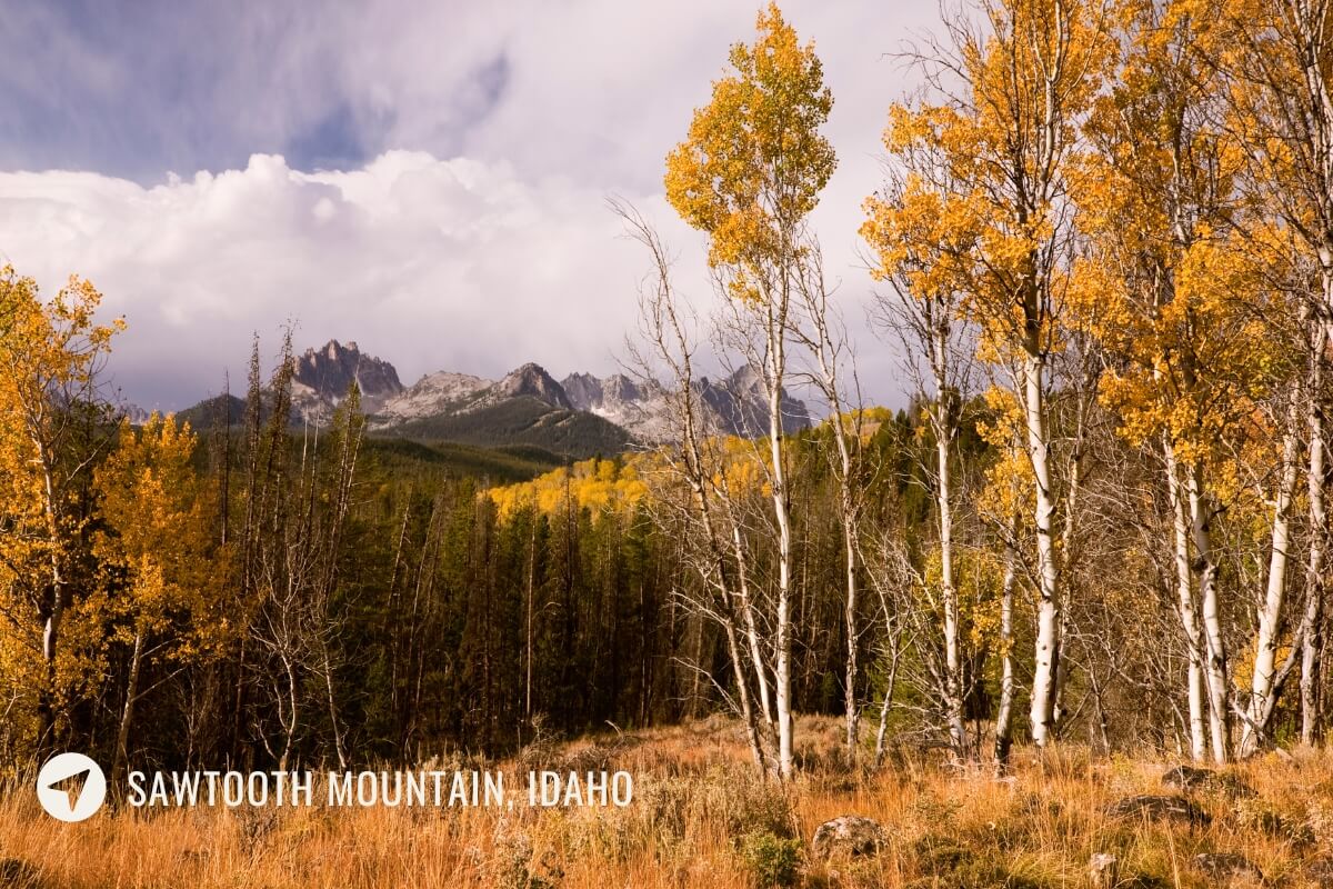 Fall Road Trips: Chasing Early September Foliage in the USA