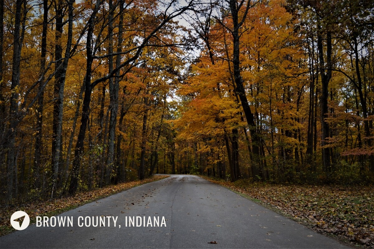 Exploring Autumn's Charm: Interesting Fall Road Trips in the Midwest