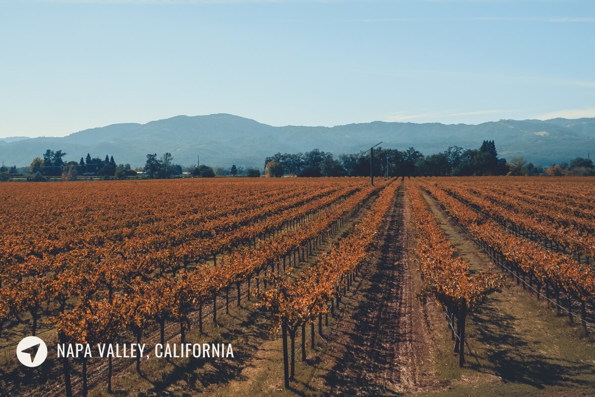 Late Fall Road Trips: Grand Finale of Foliage in the USA