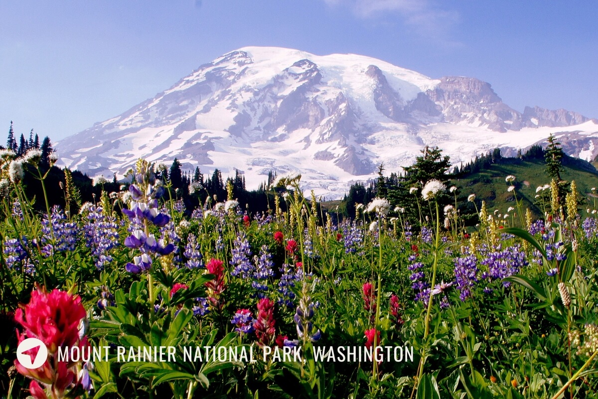 Most Colorful Places in PNW You Won't Believe Exist!