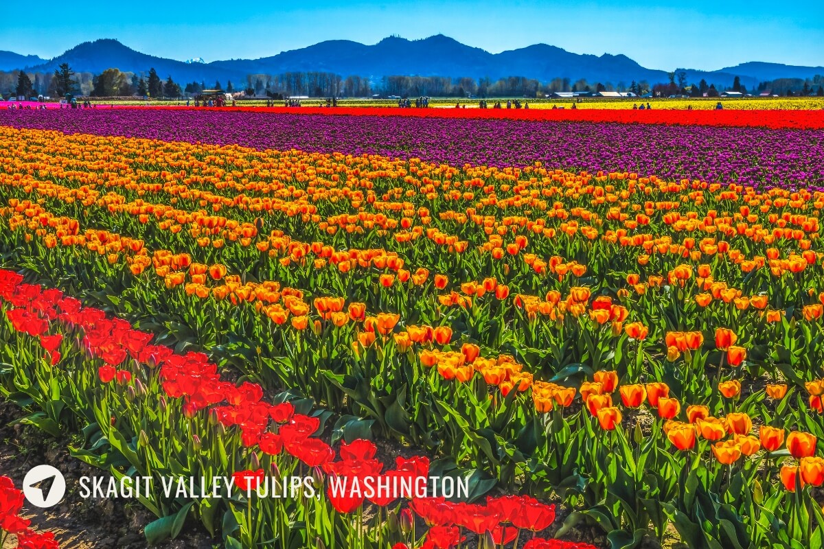 Most Colorful Places in PNW You Won't Believe Exist!