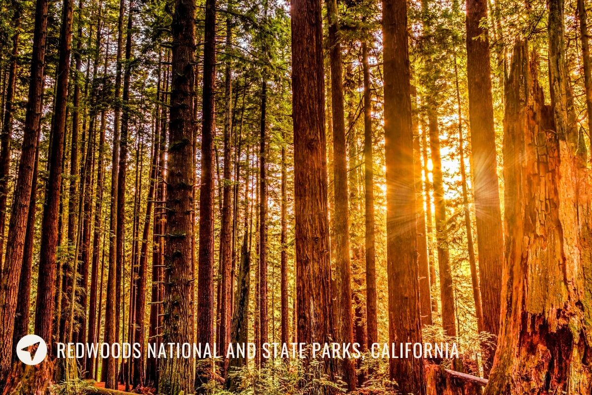 Most Colorful Places in PNW You Won't Believe Exist!