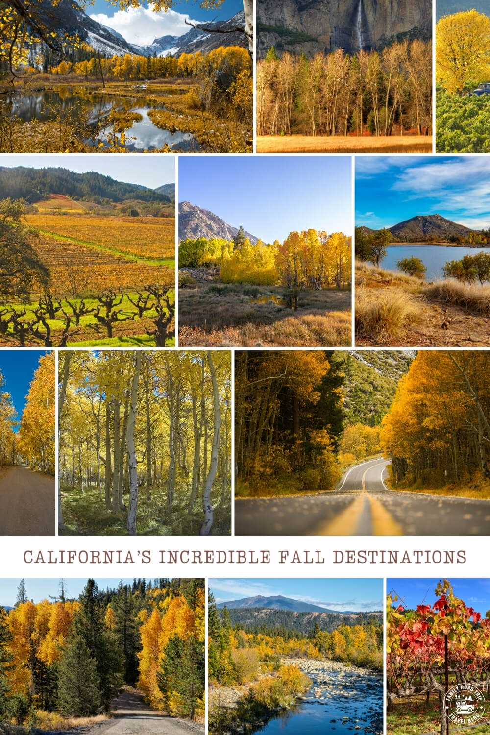 Chasing California Gold: A Family Guide to California's Fall Colors