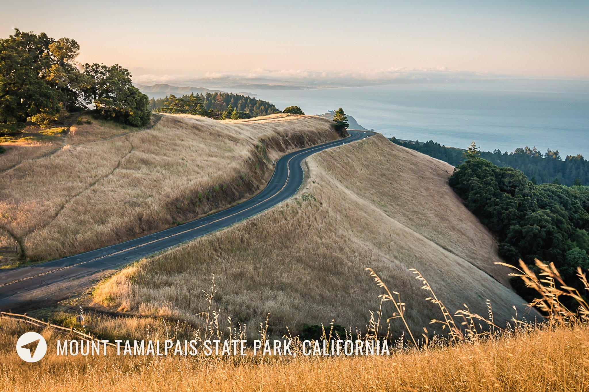 Chasing California Gold: A Family Guide to California's Fall Colors