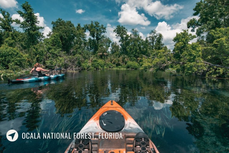 Why Families Flock to Florida: Winter Magic in the Sunshine State