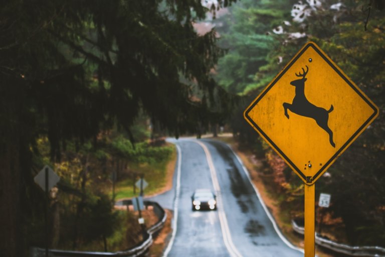 Weather the Changes: A Family's Guide to Spring Driving Safety