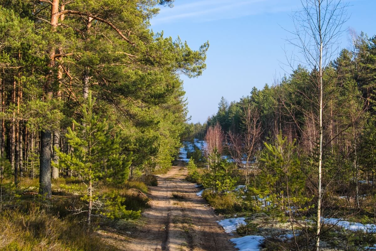Weather the Changes: A Family's Guide to Spring Driving Safety