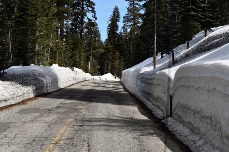 Weather the Changes: A Family's Guide to Spring Driving Safety
