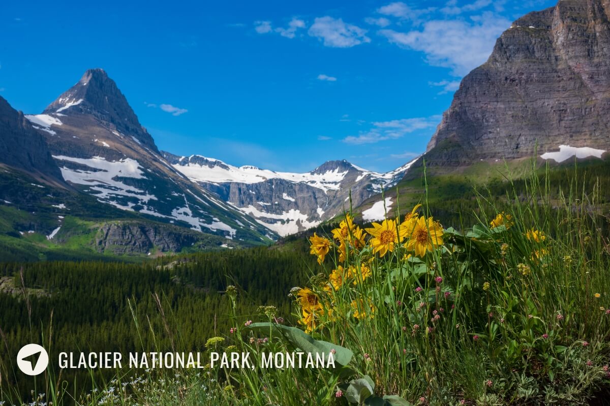 Mark Your Calendars: Complete Guide to Free National Park Days 2026