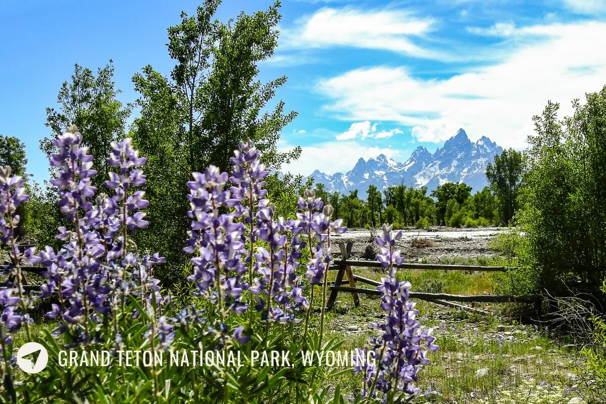 Mark Your Calendars: Complete Guide to Free National Park Days 2026