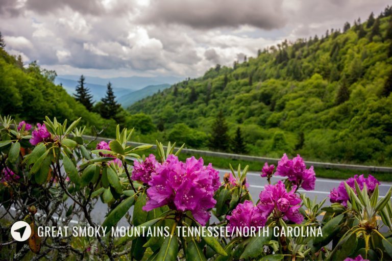 East Coast Spring Break: Adventures From Beach to Mountain